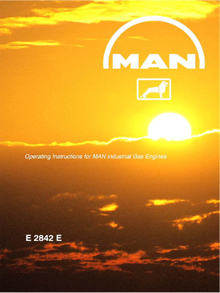 e_2842_e (1) | PDF | Distributor | Valve