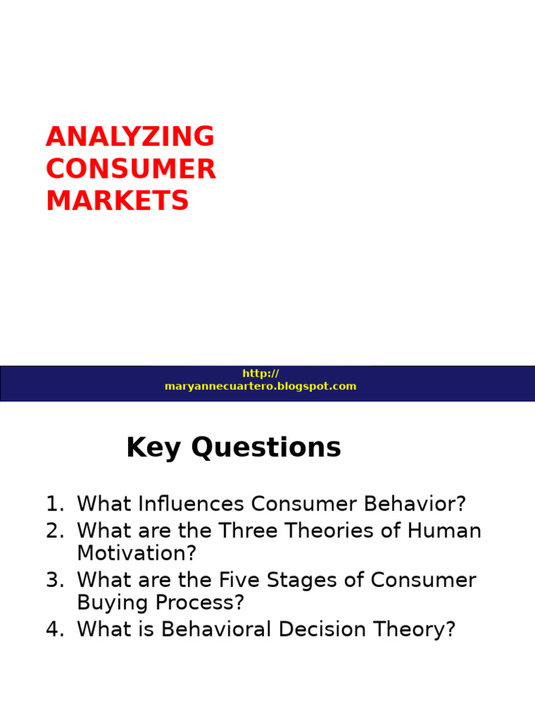 Niche Analysing Consumer Markets | PDF | Behavior | Motivational