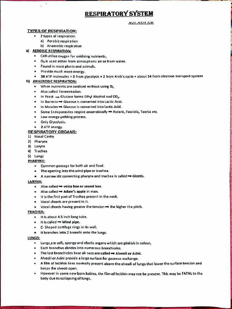 Avilash Sir - Respiratory System | PDF