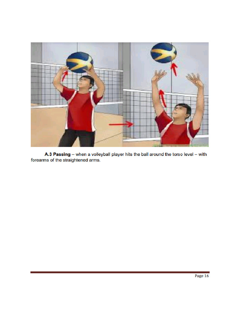 PDF Gallery_20250308_161034 | PDF