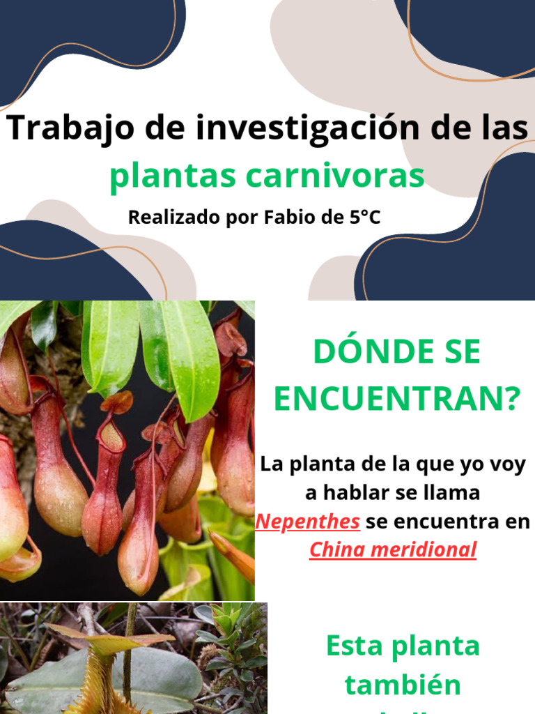 Trabajo Investigación Plantas Carnívoras | PDF