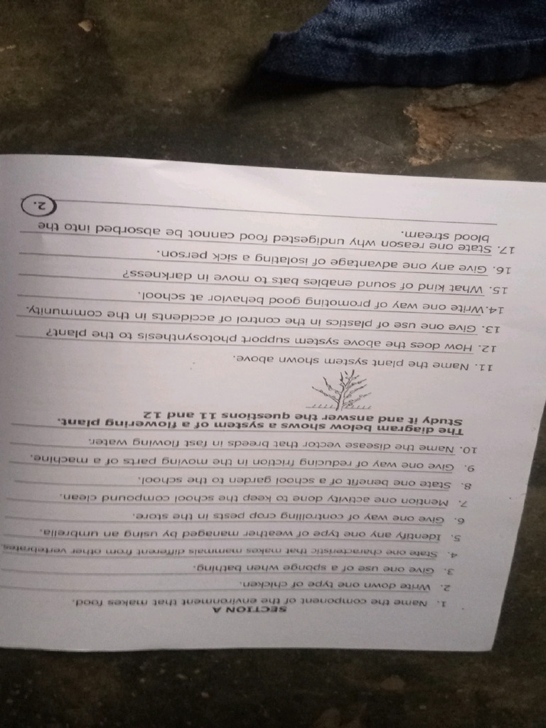 BUKOMANSIMBI MOCK SCI | PDF