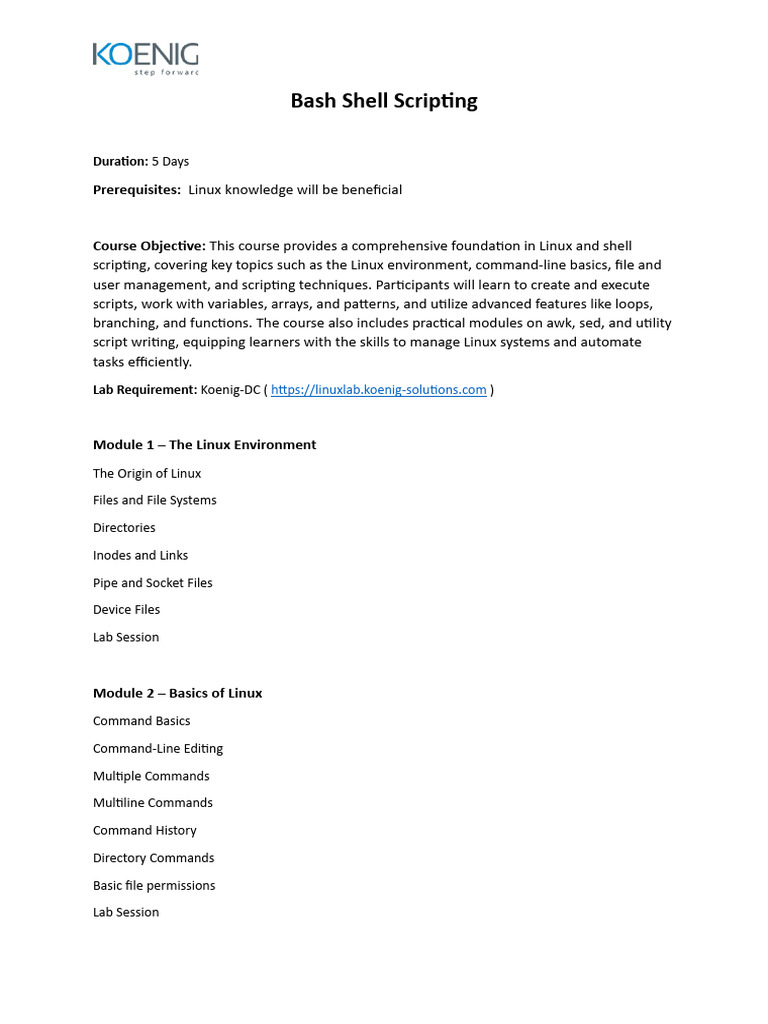 Bashshellscripting Pdf Parameter Computer Programming Control Flow