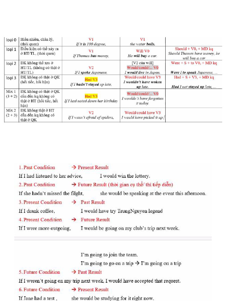 Conditional Sentences | PDF