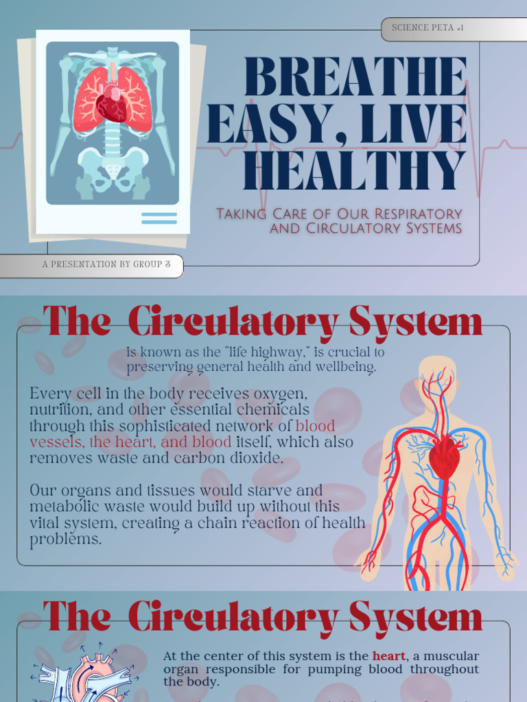 The Circulatory and Respiratory System (Grade 9 Scientific Biology ...