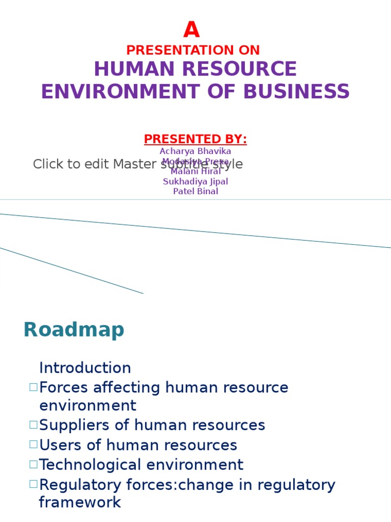 Human Resource Environment of Business: Presentation On | PDF | Business
