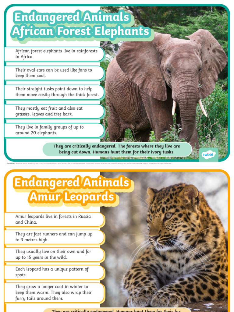 Critically Endangered Animal Species | PDF | Elephant | Endangered Species