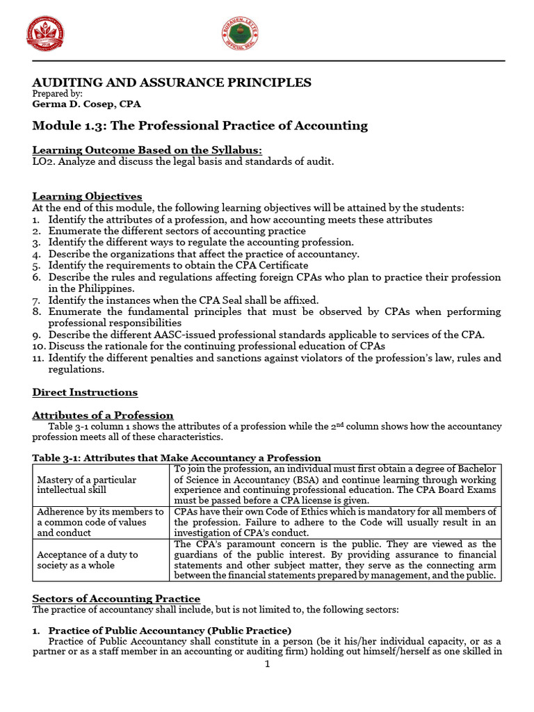 Auditing Principles and CPA Practice Guide | PDF | Certified Public ...