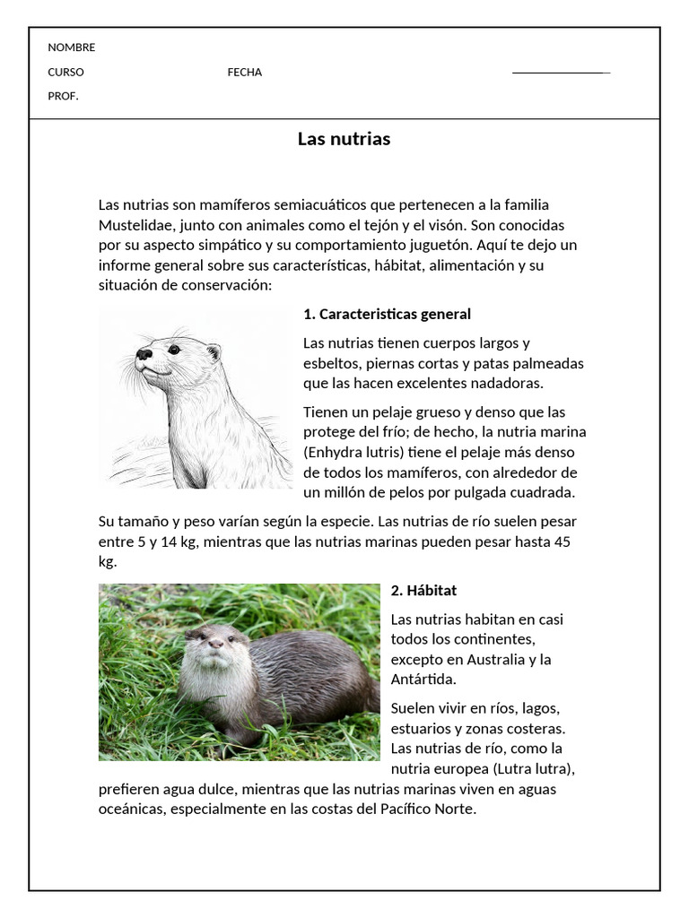 Nutrias: Enseñanza a sus crías | PDF | Nutria | Especie en peligro