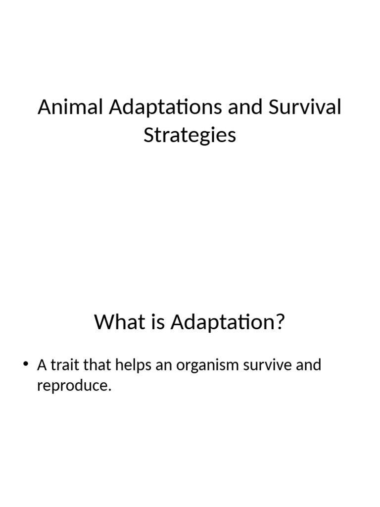 Animal Adaptations and Survival Strategies | PDF