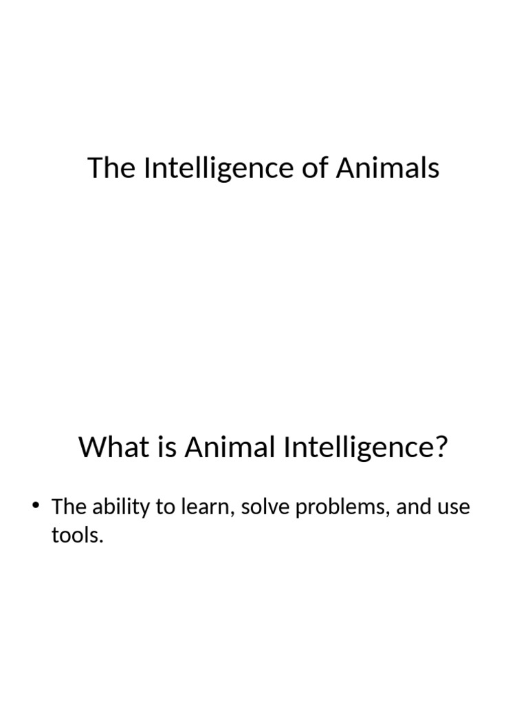 Smartest Animals and Their Intelligence | PDF