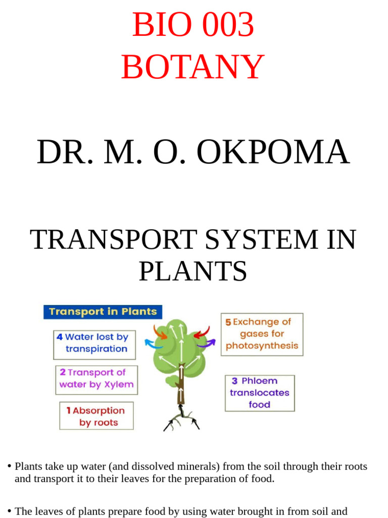 Bio 003 Plant Transport | PDF | Plant Nutrition | Osmosis
