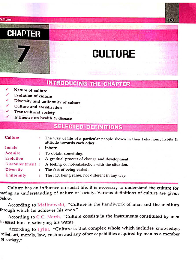 Chapter 7 Culture | PDF