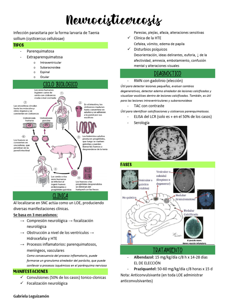 Neurocisticercosis y Toxoplasmosis | PDF | Enfermedades y trastornos ...