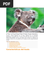 Anatomía y Fisiología de Koalas | PDF | Coala