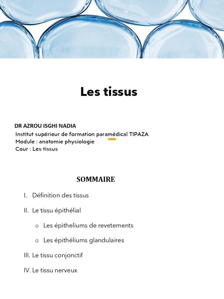 Les 4 tissus du corps humain | PDF | Épithélium | Neurone