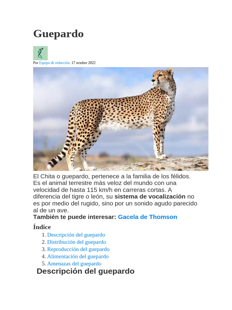 Guepardo | PDF | Leopardo | Zoología