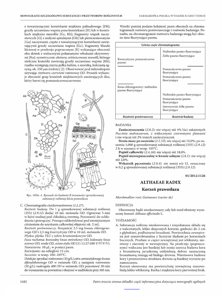 Althaeae radix | PDF