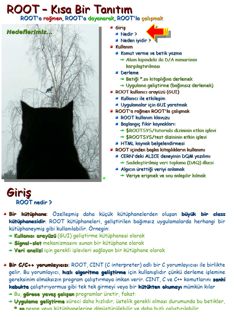 ROOTa Giris | PDF