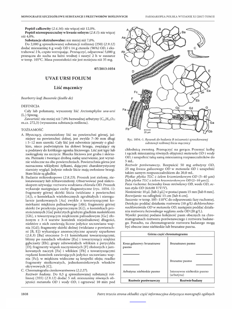 Folium Uvae Ursii Overview | PDF