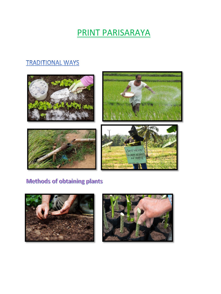 PRINT PARISARAYA | PDF
