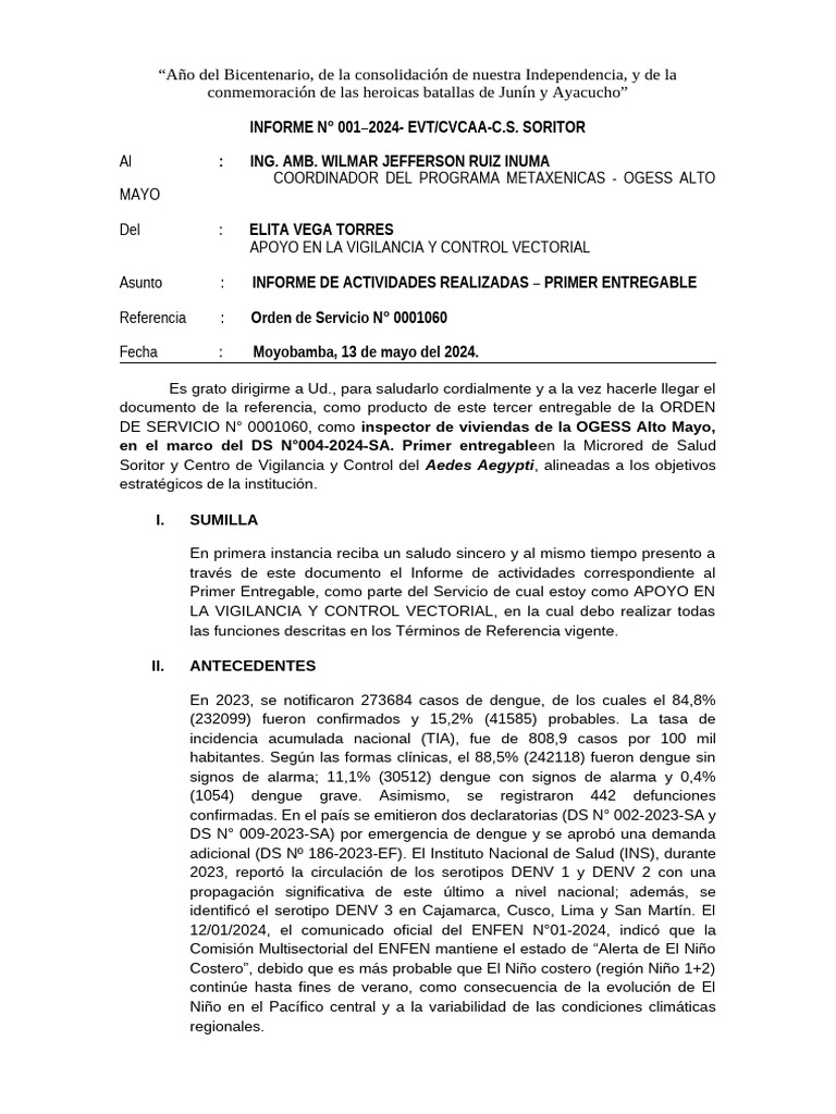 Informe Priimer Entregable | PDF