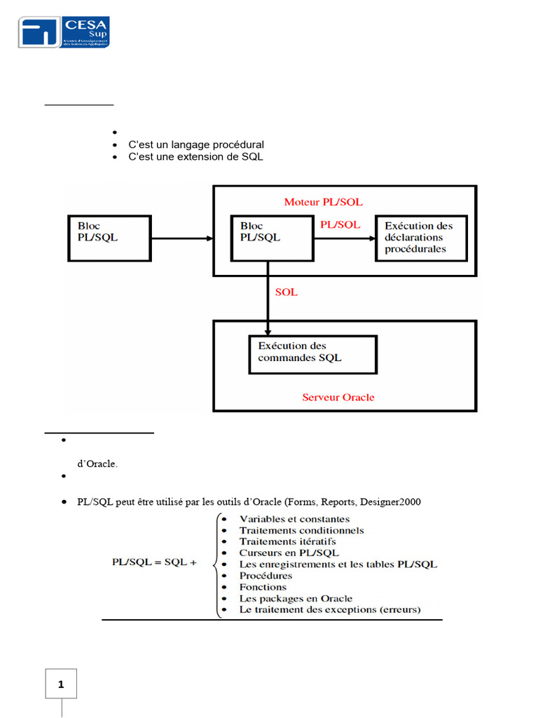 Chap n°1 PLSQL | PDF | PL/SQL | SQL