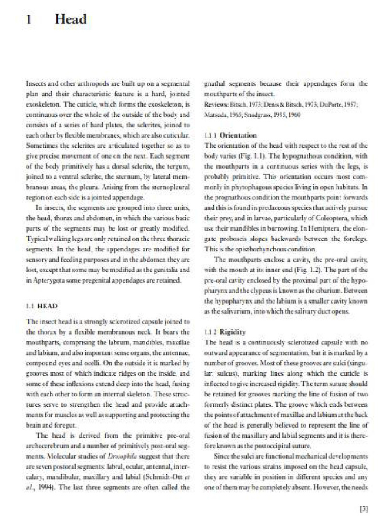 Insect Body Structure | PDF