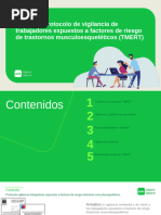 Preg. Frec. Nuevo Protocolo TMERT 2024 v1 | PDF | Factores humanos y ergonomía