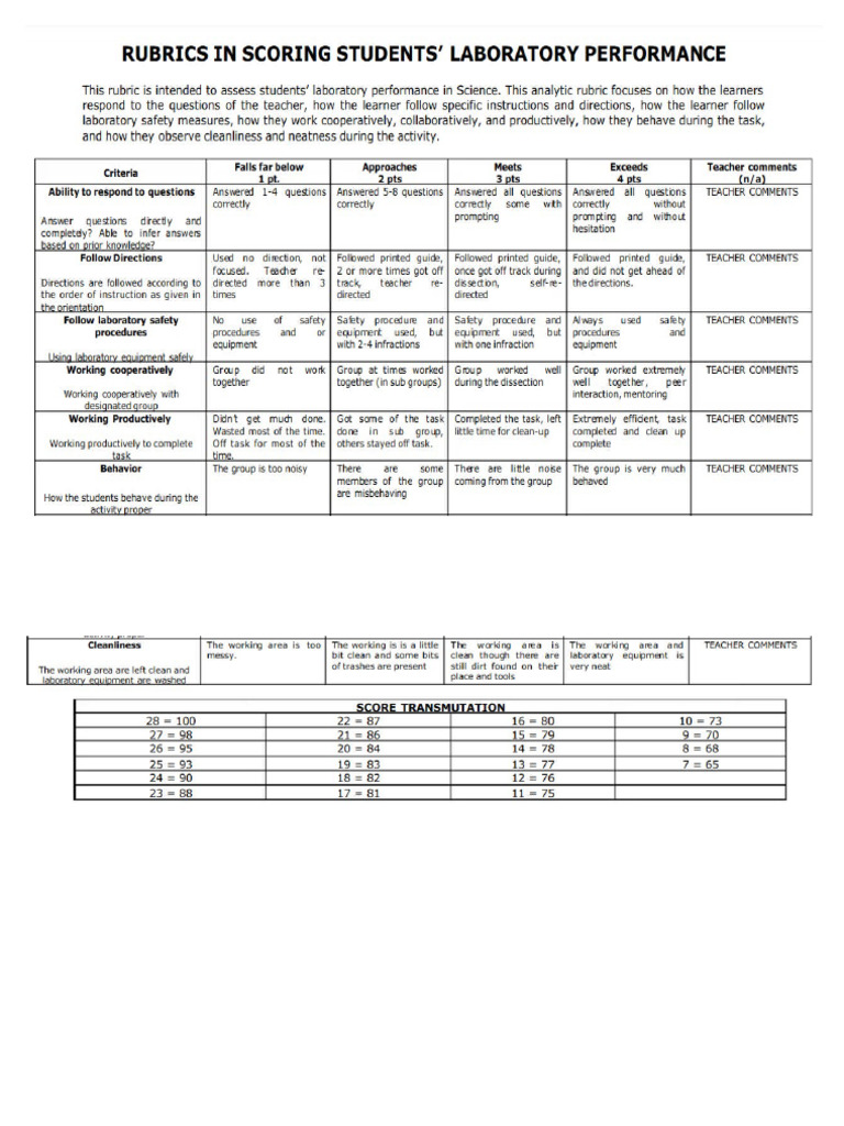 G12 Hairdressing LABORATORY RUBRICS | PDF