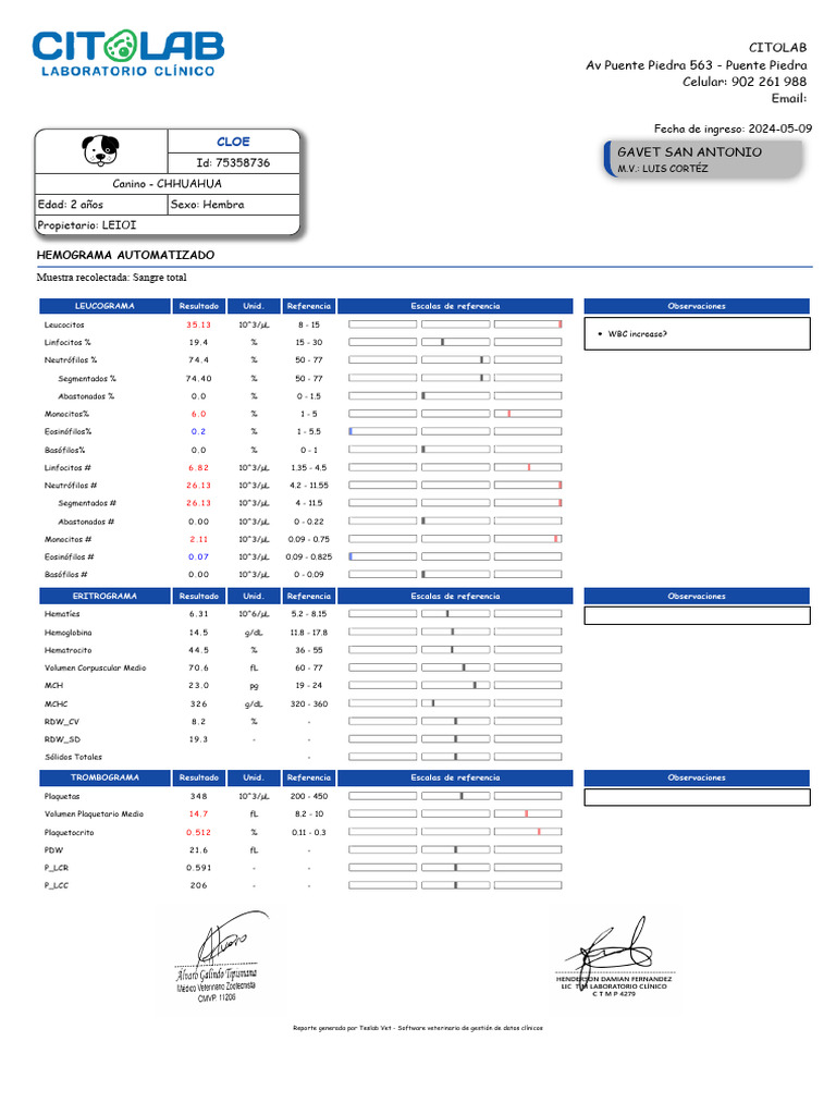 FORMATO HEMA | PDF | Fisiología | Biología Celular