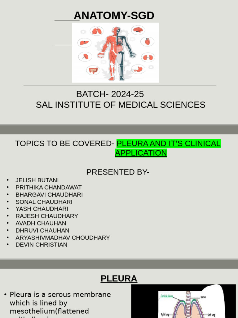 Pleura Anatomy Project | PDF | Lung | Thorax (Human Anatomy)