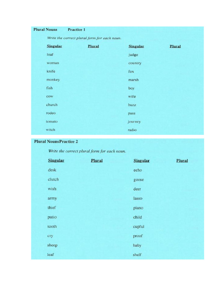Plural Practice | PDF
