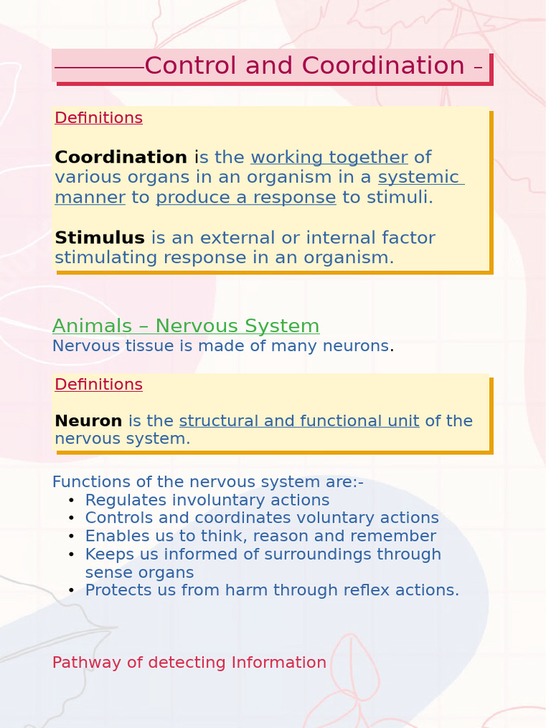 Contol and Coordination Notes | PDF | Stimulus (Physiology) | Nervous ...