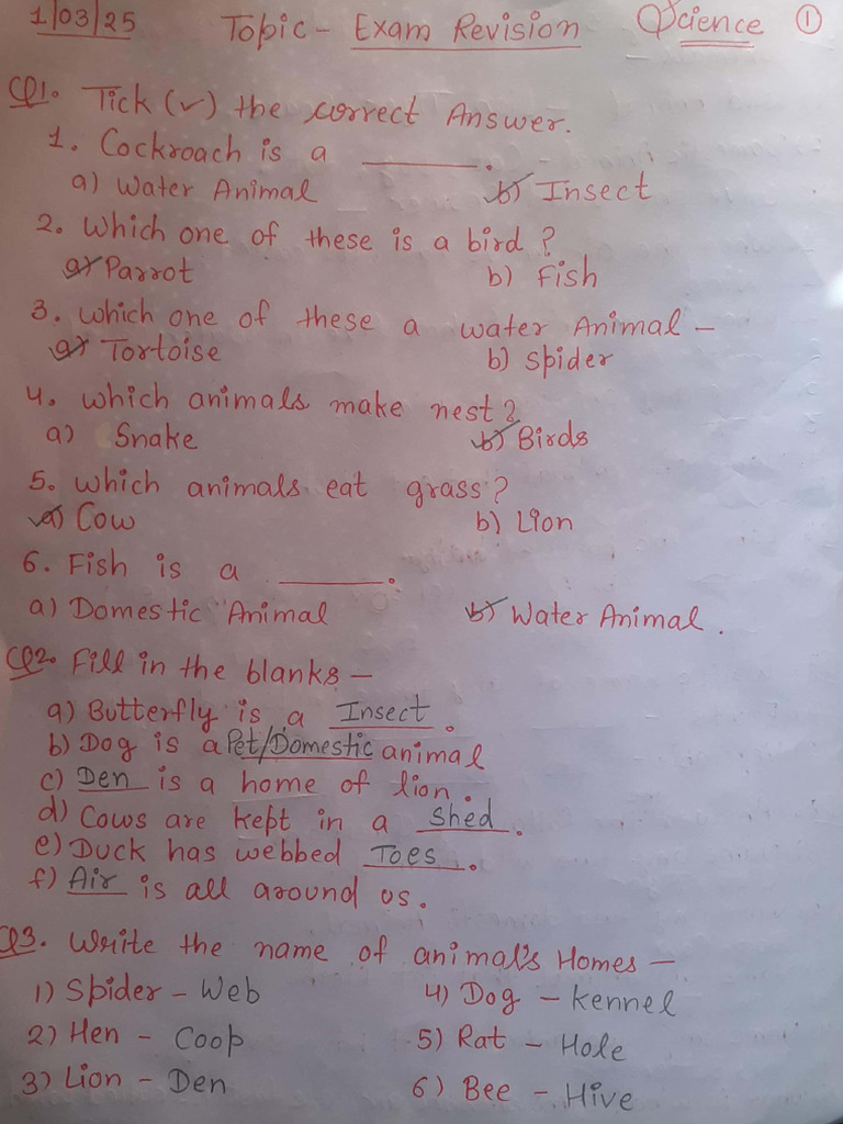 Exam Revision Science | PDF