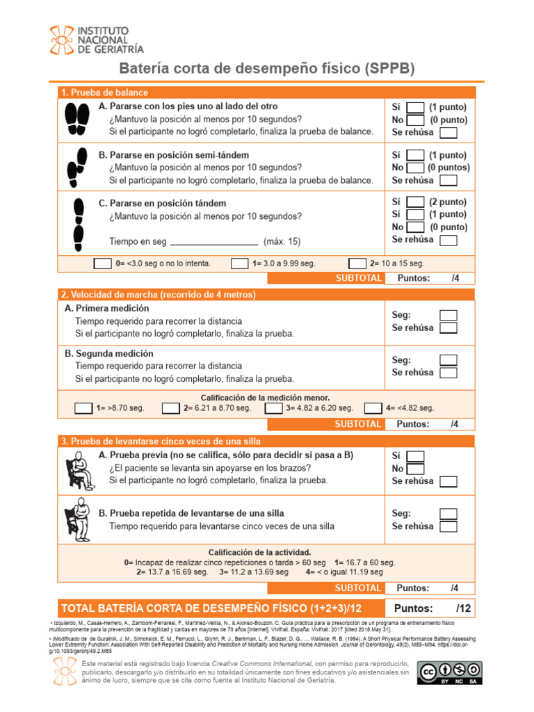 Bateria Corta de Desempeño Fisico AM | PDF