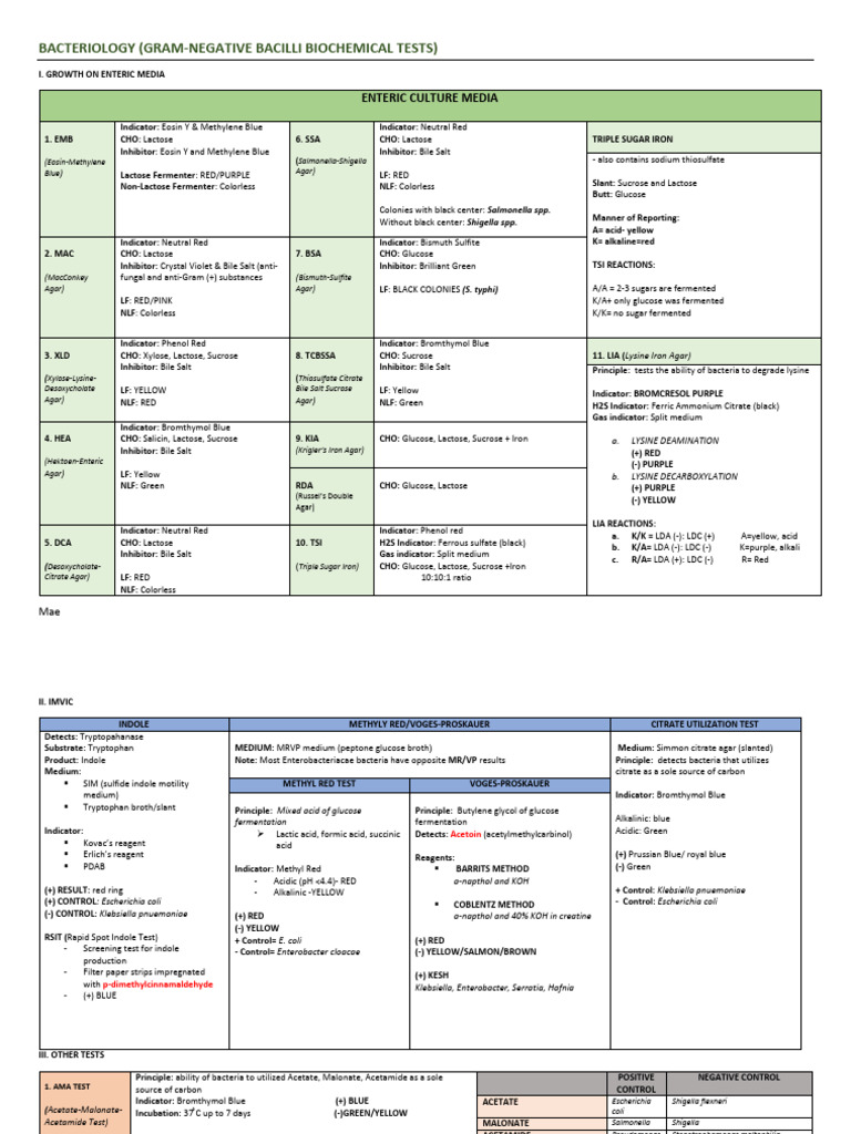 Biochemical Tests for Gram-Negative Bacilli | PDF