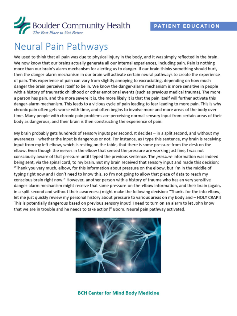 Neural Pain Pathways 6 12 20 | PDF | Brain | Pain