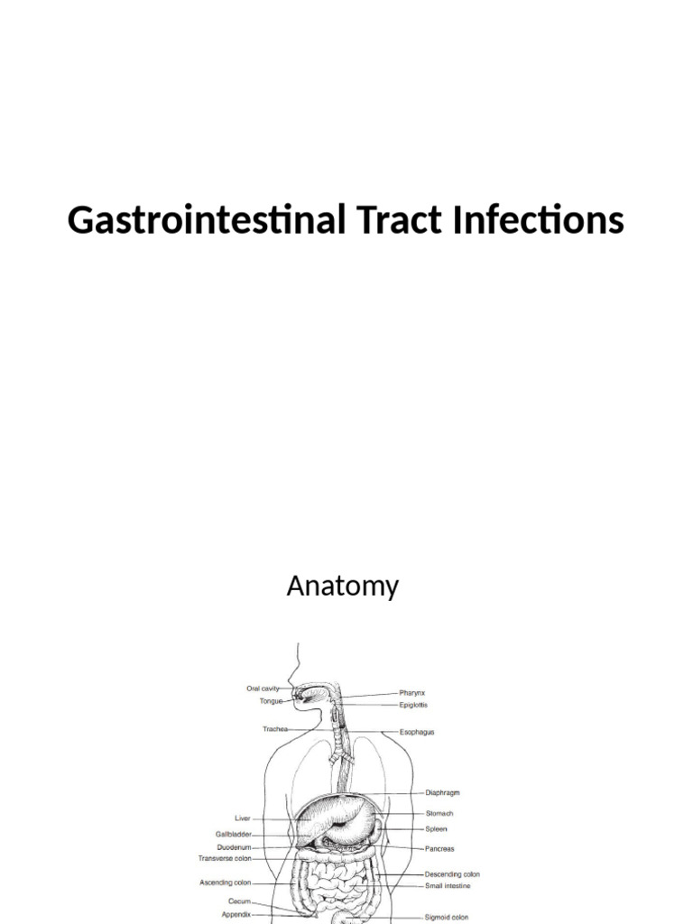 Gastrointestinal Tract Infections | PDF | Gastrointestinal Tract | Diarrhea