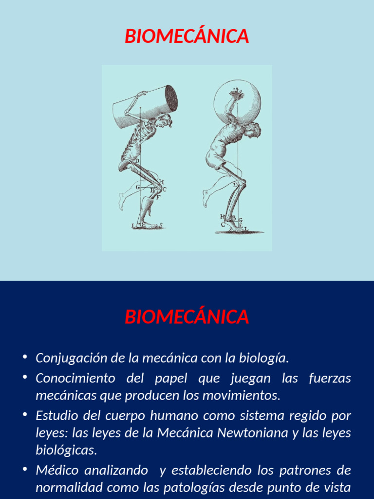Biomecánica Estática y Dinámica | PDF | Palanca | Fuerza