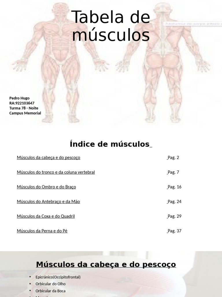 Trabalho Sandra Tabela | PDF | Coluna vertebral | Quadril