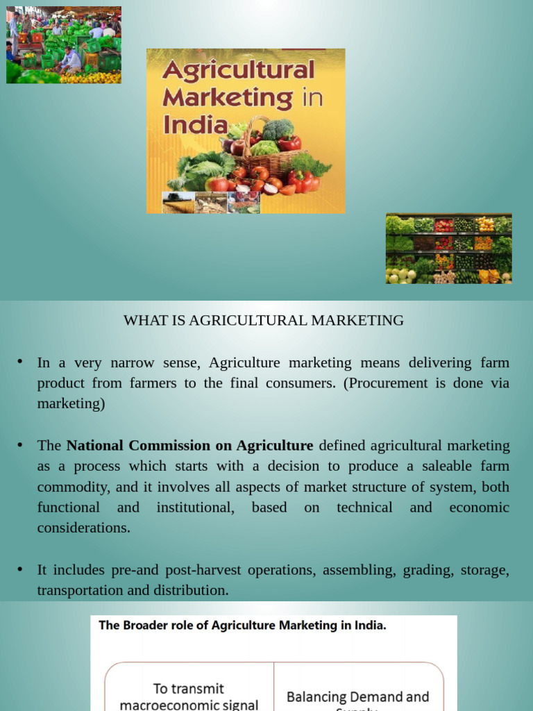 Understanding Agricultural Marketing Basics | PDF | Warehouse | Market ...