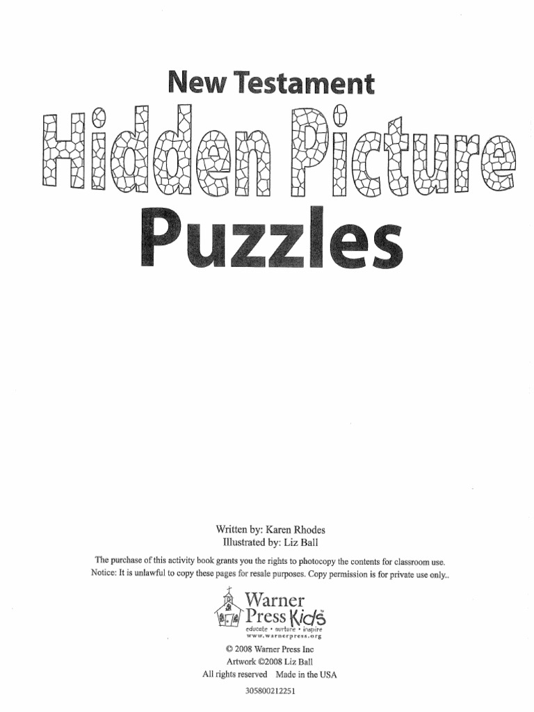 Hidden Puzzles Book | PDF
