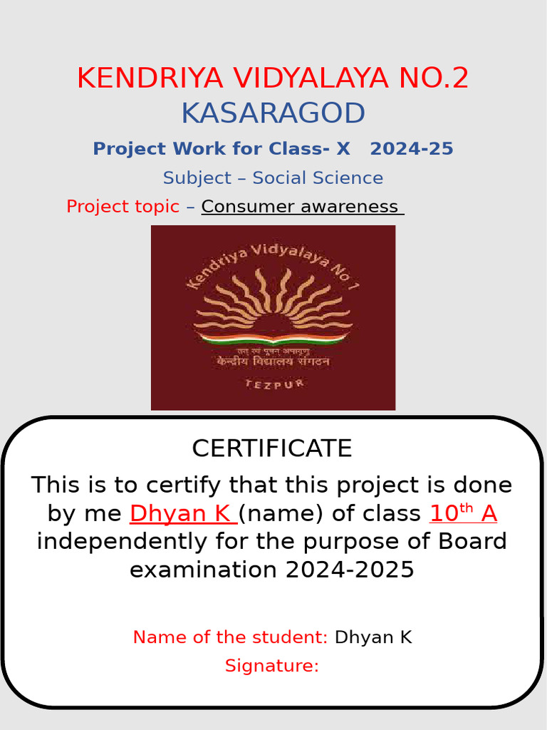 certficate for project work class 10 social | PDF