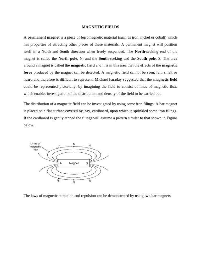 Magnetic Fields | PDF | Magnetic Field | Magnetism