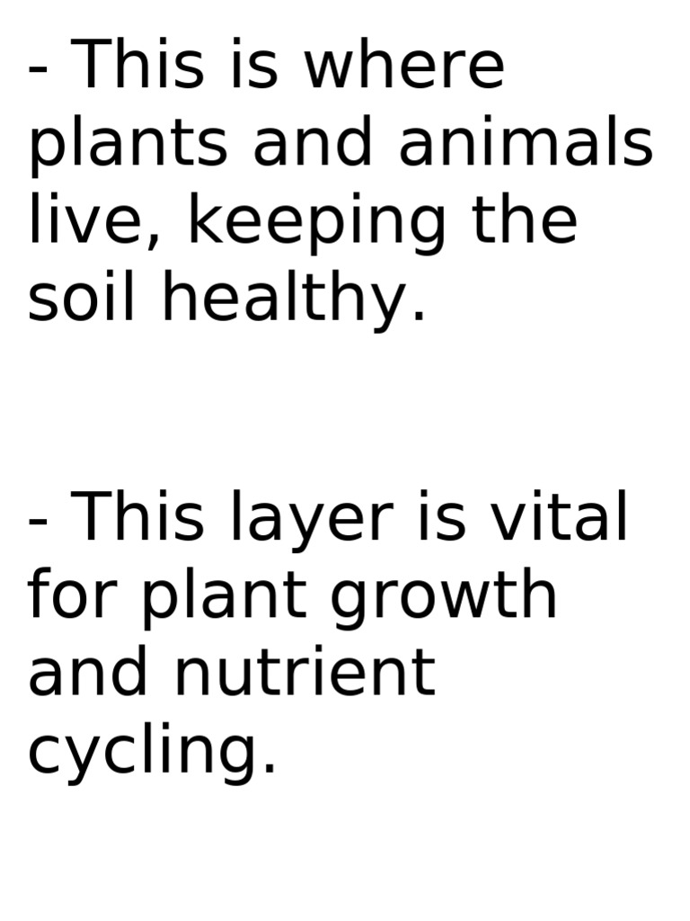 This is Where Plants and Animals Live | PDF