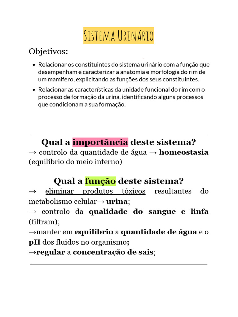 Resumos-Ciencias Sistema Urinario | PDF | Rim | Sistema urinário