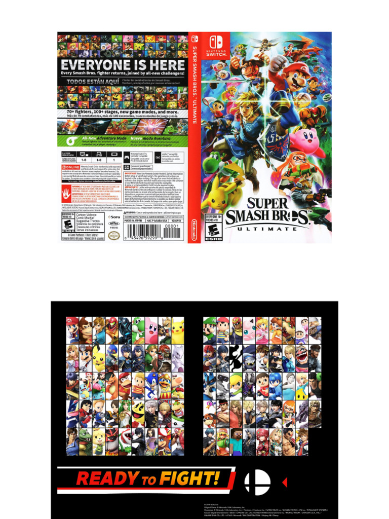 Cover Switch Super Smash Bros | PDF