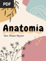 Partes de la Salpinge y Anatomía Asociada | PDF | Ovario | Pelvis
