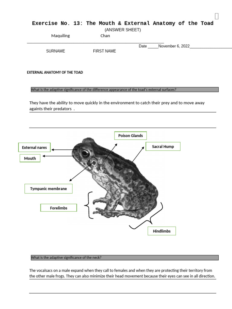 Exercise 6 - Mouth and Ext Anat of Toad - Answer Sheet | PDF | Mouth | Frog